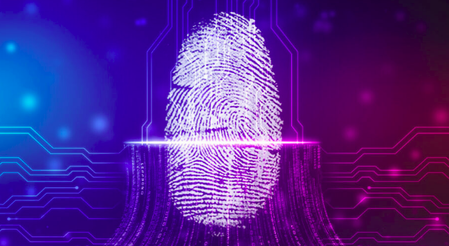 A Dive into Advanced Digital Forensics Techniques | by Monika Rogers ...
