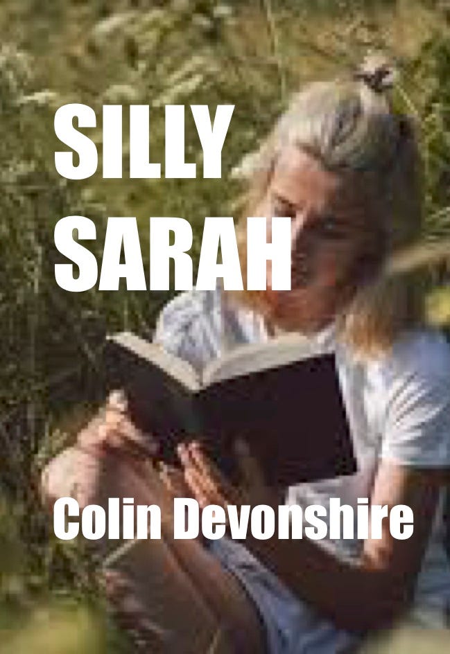 Silly Sarah. Silly Sarah | by Colinjdev | Medium