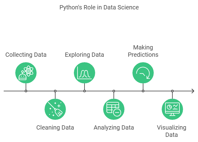 Exploring Data Science: How Python Makes It Fun and Useful | by Raviteja | Oct, 2024 | Medium