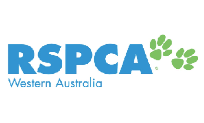RSPCA Pet care mobile app. Introduction: My name is Markus… | by ...