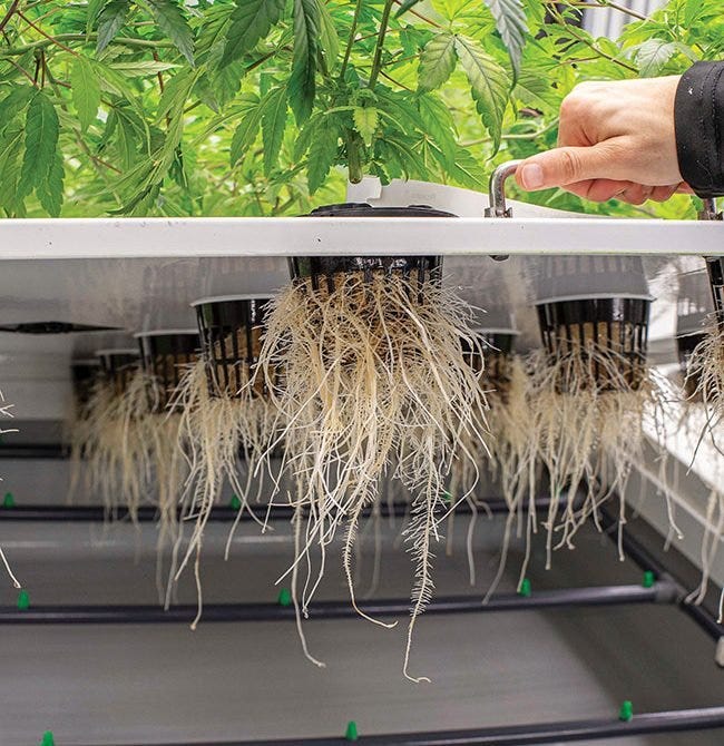 Common Hydroponic Grow Methods. Hydroponics is an innovative method of ...