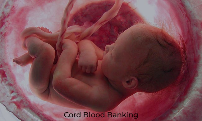What is Cord Blood Banking? | by Emilia Blaese | Medium