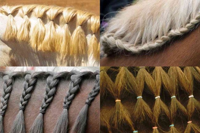 Master the Art of Horse Hair Braiding | by Muhammad Ismail | Sep, 2023 ...