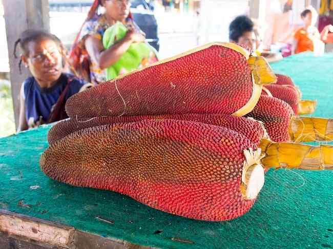 Buah Merah : Pesona Flora khas Papua | by Hendra Setiawan | Medium