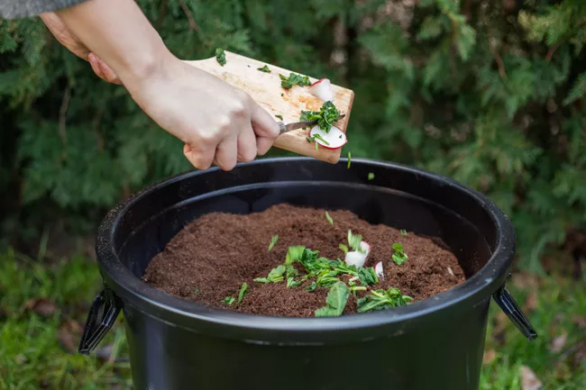 Recyclable VS Biodegradable VS Compostable | by 王莉 | Medium Recyclable VS Biodegradable VS Compostable | by 王莉 | Medium