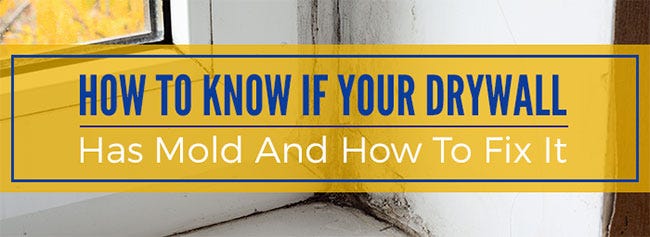 Does your Drywall Have Mold? How to Tell (And How to Fix It) | by ...