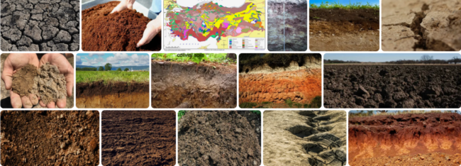 Colivial Soils? Soils Colival? **2023** | by Siteshares | Medium