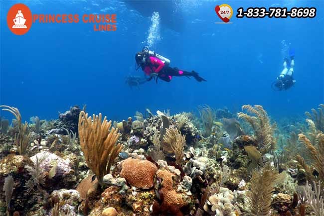Tips and Tricks to make the most of your Excursion with Princess Cruise ...
