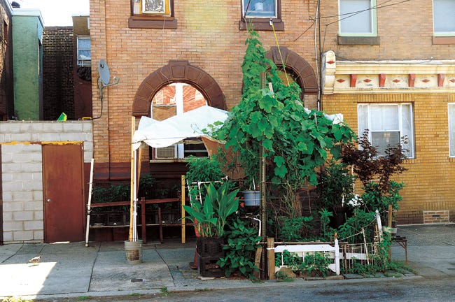 A shady site | by Admin | South Philly Review | Medium