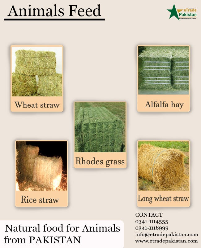 Animal Feeds. We provide the natural feeds for your… | by Arman Khan ...