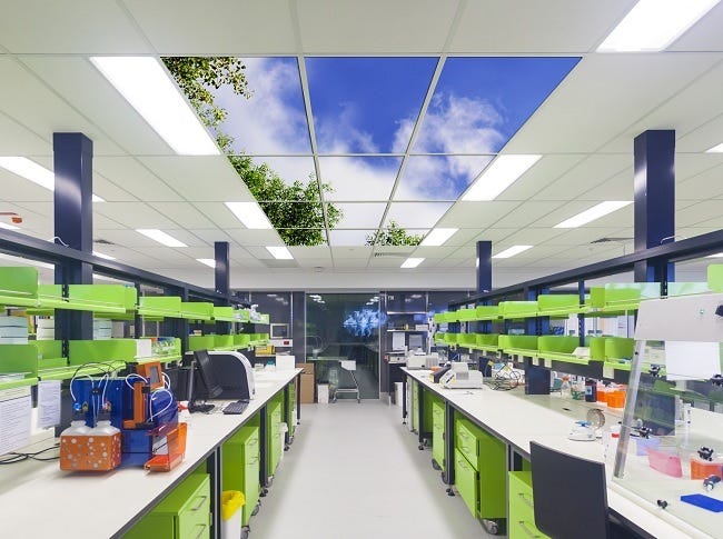 How Artificial Sky Can Guide You About Sky Ceiling? - Georgeterry - Medium