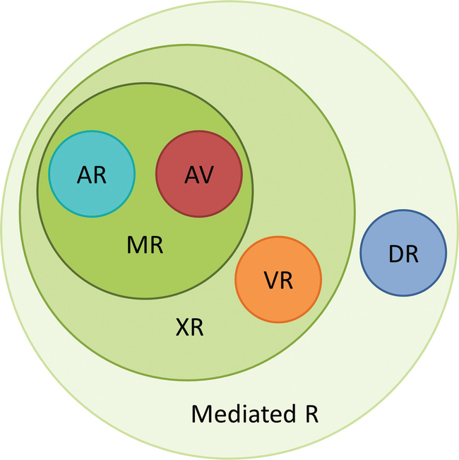 Exploring the Dimensions of Computer-Mediated Reality: Family Affair ...