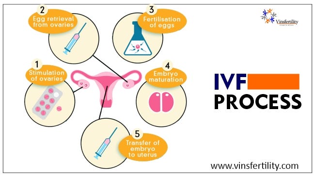 Best ivf doctor in India | IVF Process | by Vinshealth | Medium