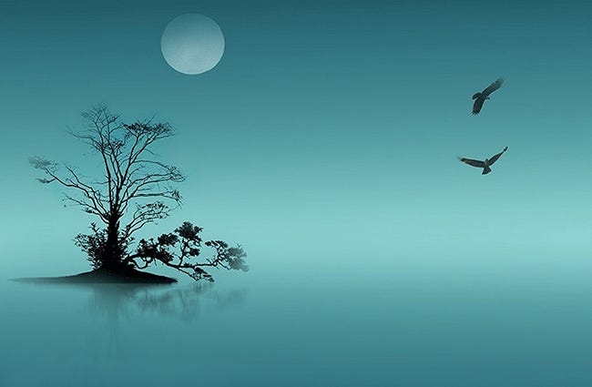 Mystery Of Silence. Talking about silence is something… | by Aman Ayan | Jun, 2024 | Medium
