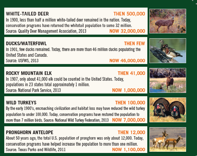 3 Misconceptions About Hunting and why they Just Aren’t True | by ...