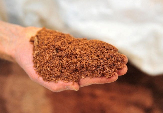 Scientists have created an electronic soil… | by Gajawaja | Jan, 2024 ...