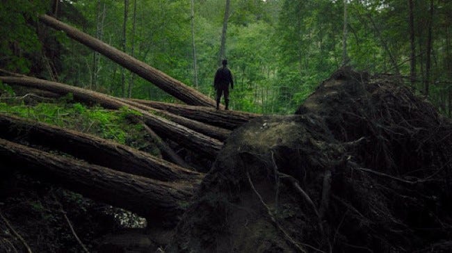 What is Nature Horror?. I always forget about this horror… | by Emy ...