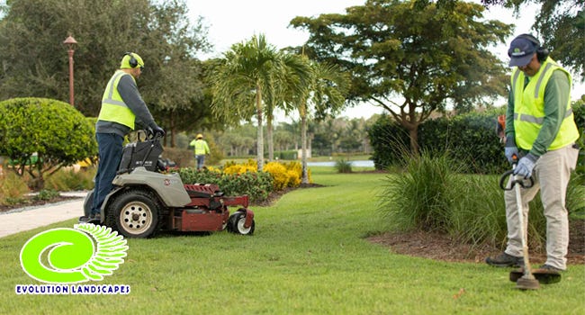 Transforming Outdoor Spaces: Landscaping Services in South Auckland | by Evolution Landscapes ...