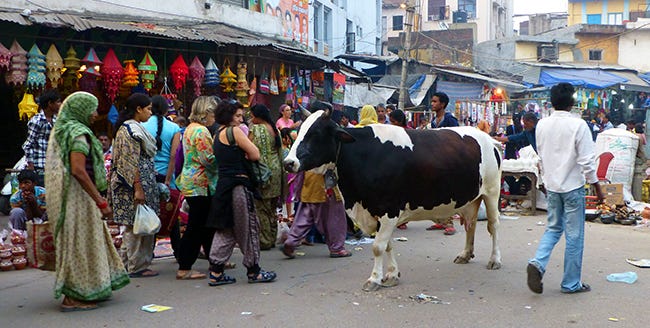 India Travel Diary# 1- Enlightenment after Chaos | by Monica Yoo | Medium