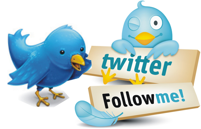 Tips for Choosing a Twitter Follower Seller | by Mark Evans | Medium