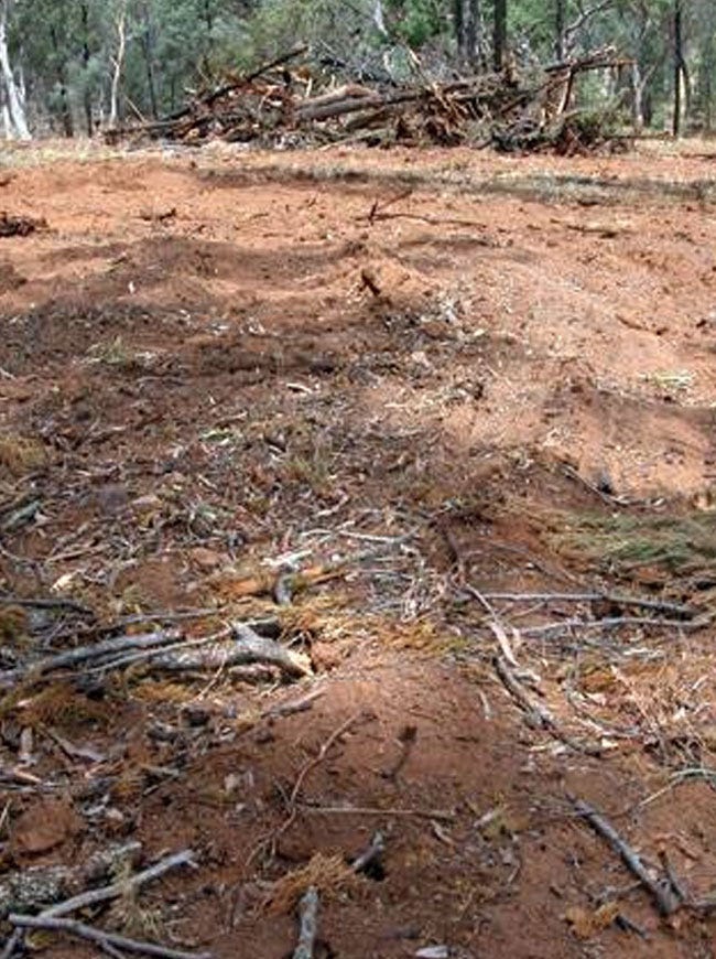 Soil Removal Sydney — Ecological methods used to remove soil | by ...