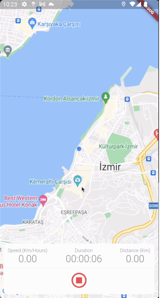 Google Maps Route Tracking