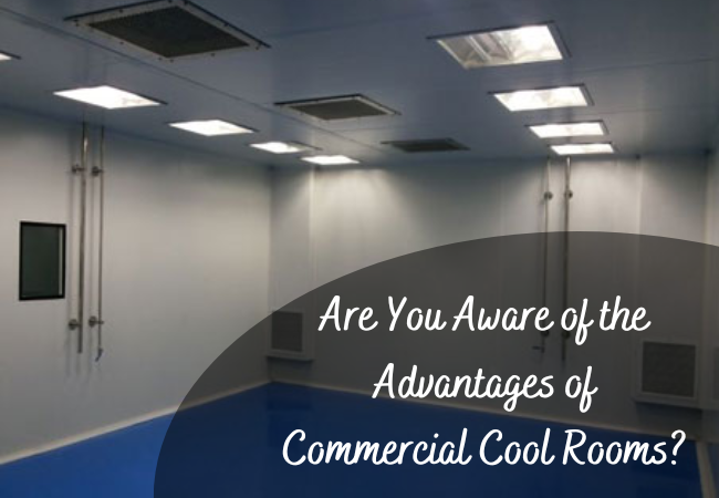 Are You Aware of the Advantages of Commercial Cool Rooms? | by A Plus ...