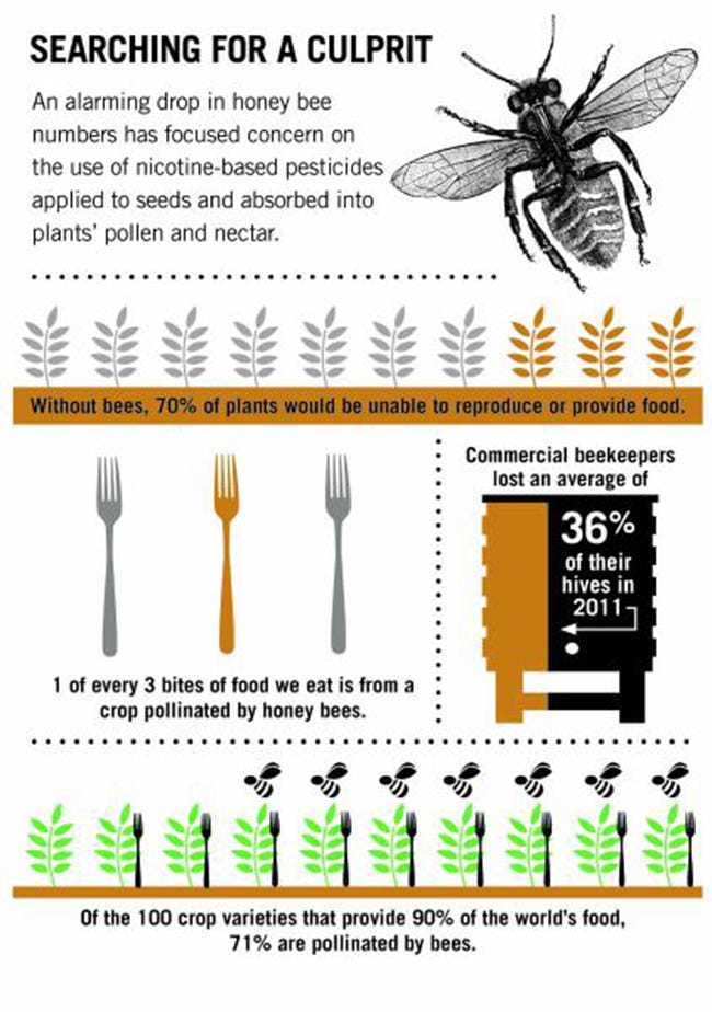 Billions of Bees Dying. Worldwide, billions of honey bees are… | by Lee ...