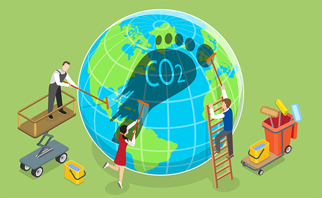 Top 5 ways to achieve net zero for your fleet | by Ayesha Amjad | Medium