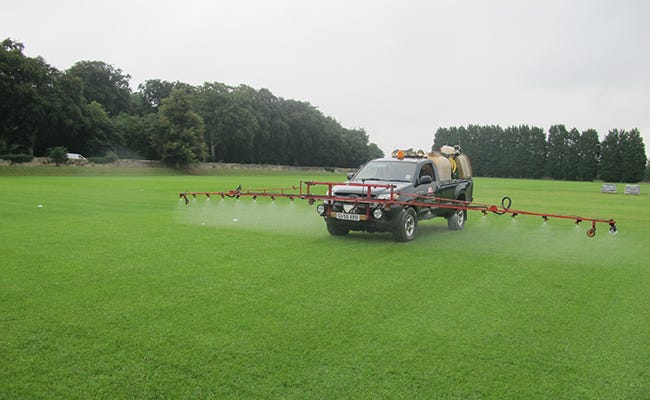The Different Methods Of Weed Control In Lawns | by Greendrop | Medium