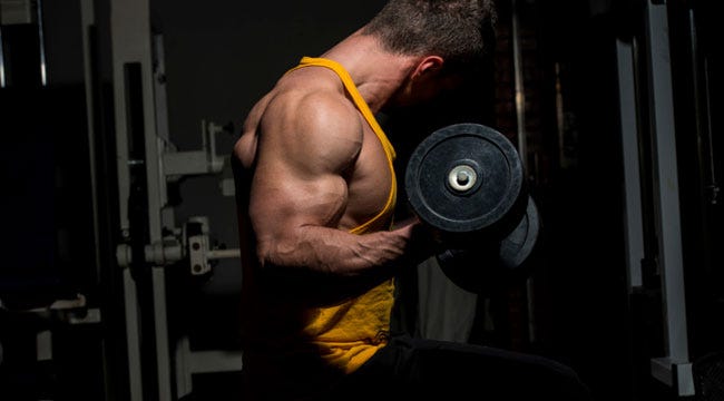 Observe a Remarkable Improvement in Your Muscle Strength Using Body ...