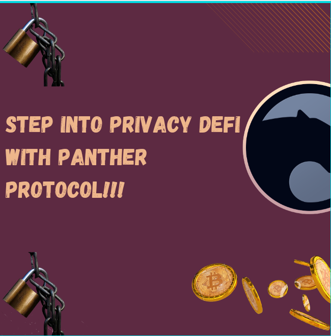 PANTHER PROTOCOL.. enabling privacy and trust in defi!!! | by Ewim ...
