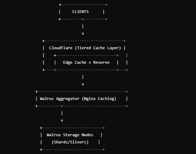 Supercharging Walrus Aggregators with Nginx and Cloudflare Cache Reserve | by Natsai | Medium