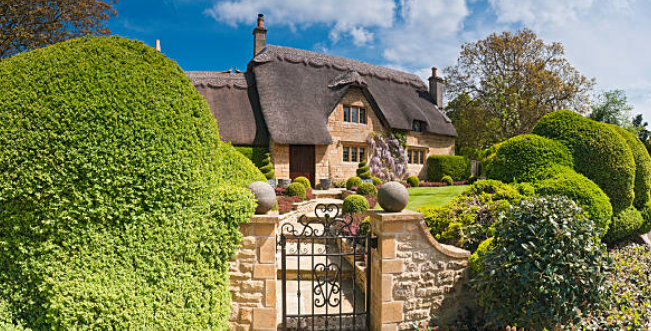 Colorful Hedges: Infusing Your Garden with Vibrancy and Beauty | by ...