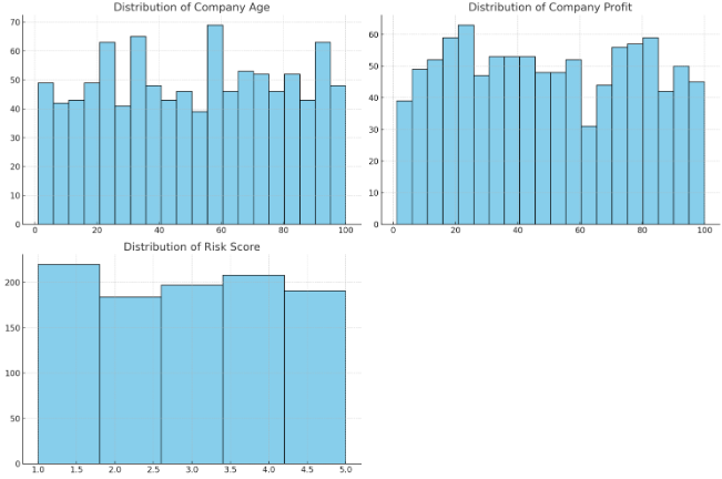 🚀 Beginner Project: From Data to Insights — Unveiling Company Risk ...