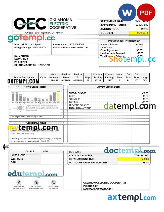 USA OEC electricity utility bill template in Word and PDF format | by Shotempl | Sep, 2024 | Medium