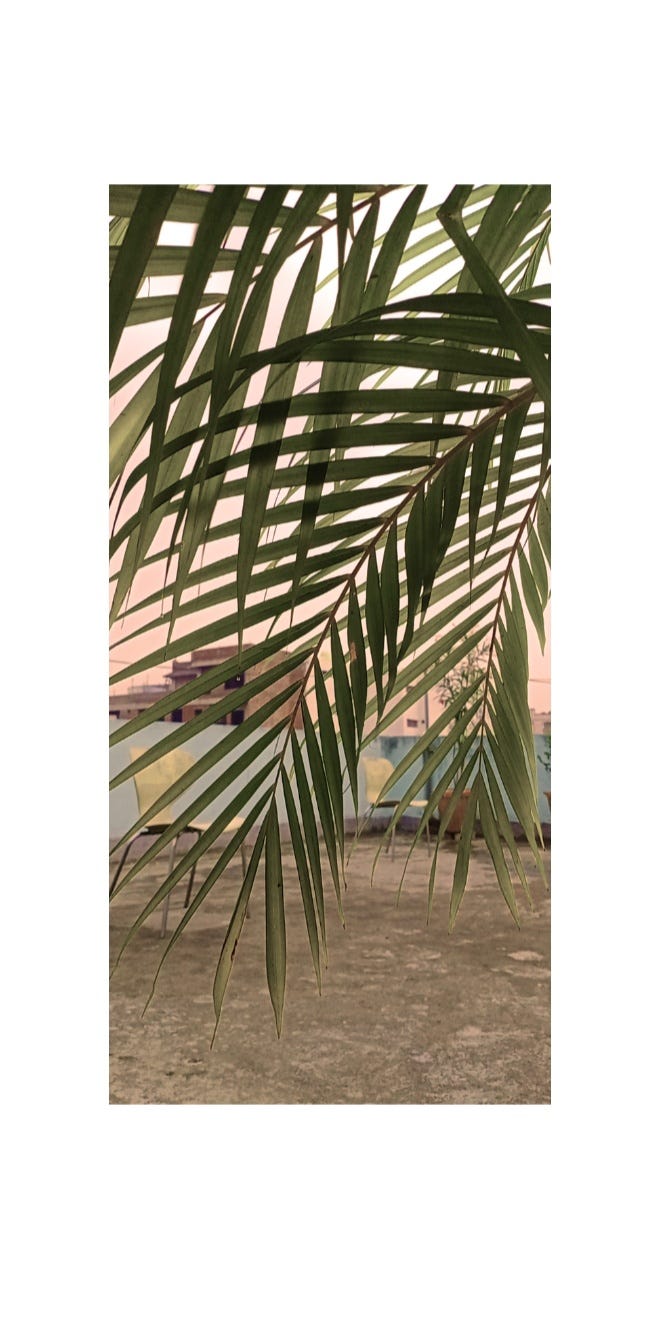 Here are some of the divine photos which I took in 2022 .(part-1 ...