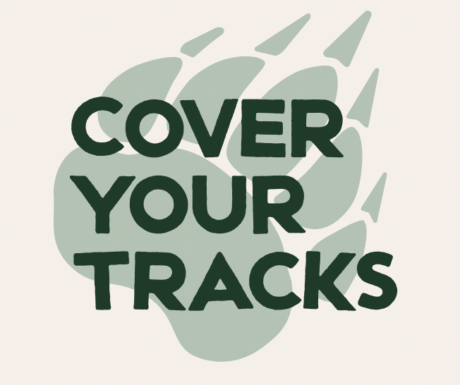 Browser fingerprinting and “Cover Your Tracks” Project | by Domiziana ...