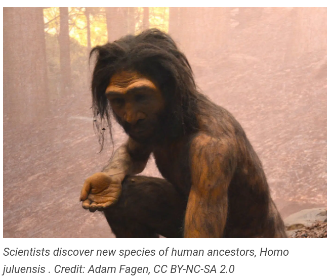 Scientists Discover New Human Species in China. | by Oliha | Dec, 2024 ...