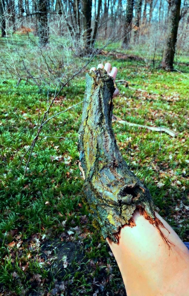 Eternal Connection Between People and Nature | by Secil Honeywill | Medium