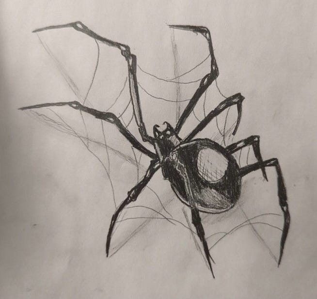 I’ve never killed a spider. The loneliness of a life | by Inscriptor ...