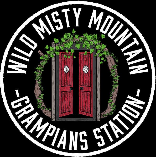 WILD MISTY MOUNTAIN. “WILD MISTY MOUNTAIN: Unveiling Unique… | by ...