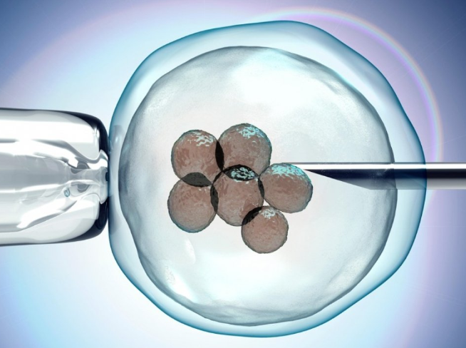 Known as the only regret medicine in the world is “Oocyte ...