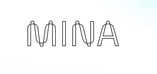 Why Mina Is the Best Blockchain for Developers | by Samet Dökmeci | Nov ...
