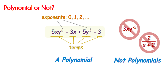 Polynomials. Refer to math is fun: Polynomials | by Solomon Xie | All ...