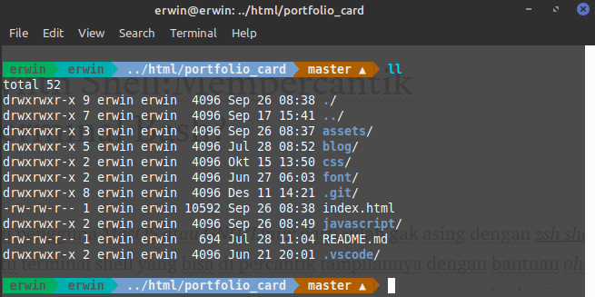 synth shell terminal linux mint | Medium