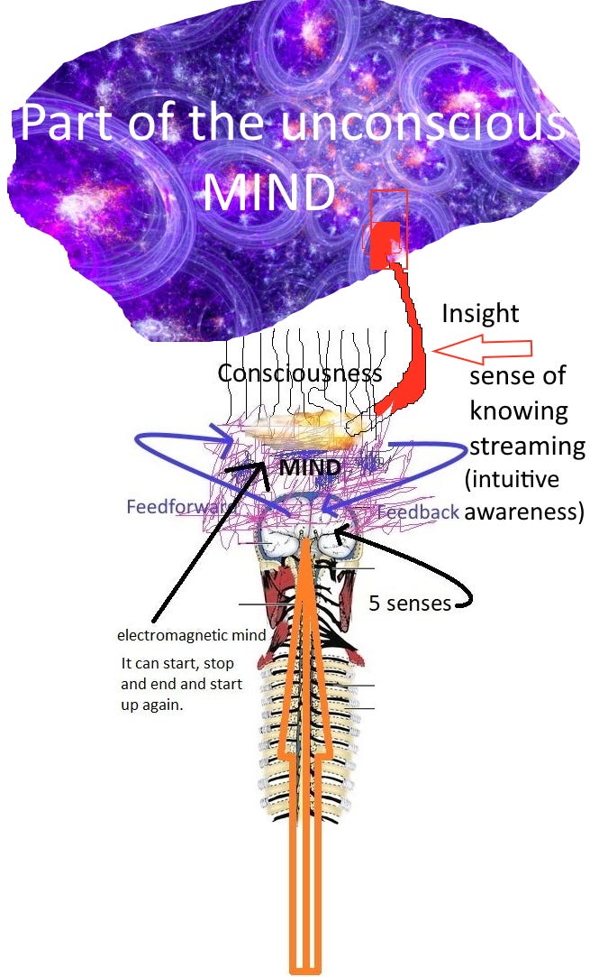 How does the mind reveal its true nature to you? | by Siri Perera | Medium
