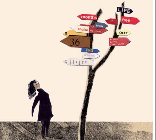 Using Consulting Skills to Make Big Life Decisions: Building Hypothesis ...