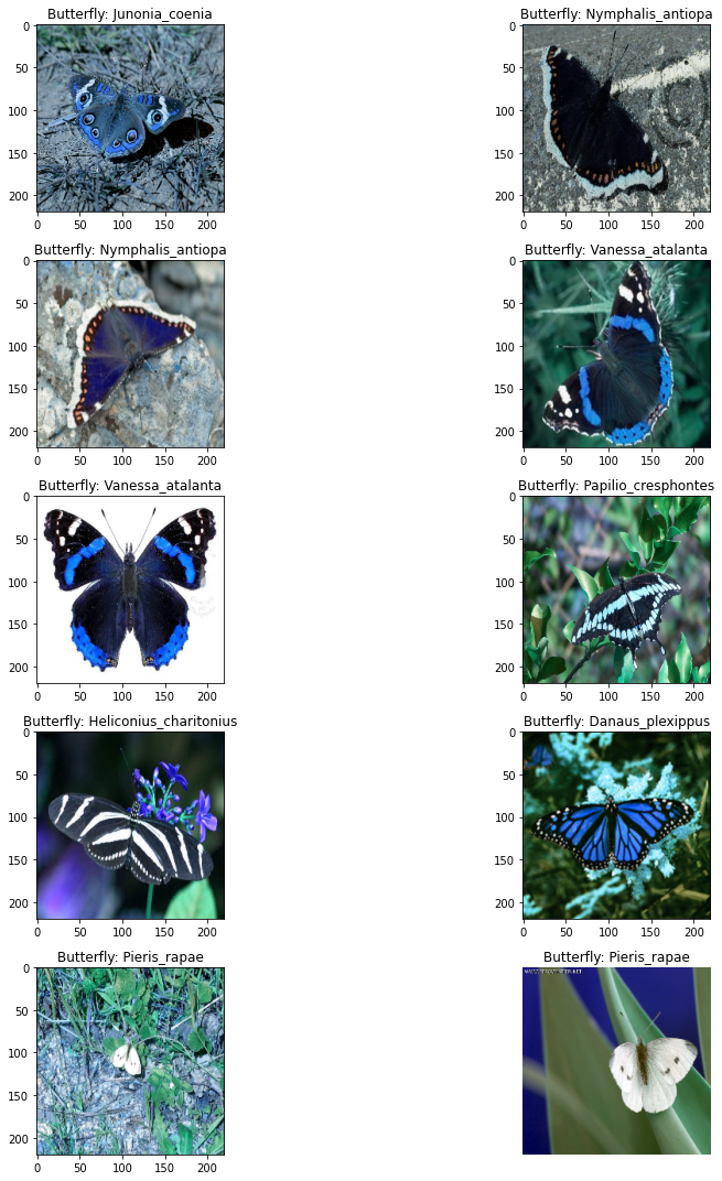 Klasifikasi Gambar Menggunakan Python | by Thojing Dea Pallaqi | Medium