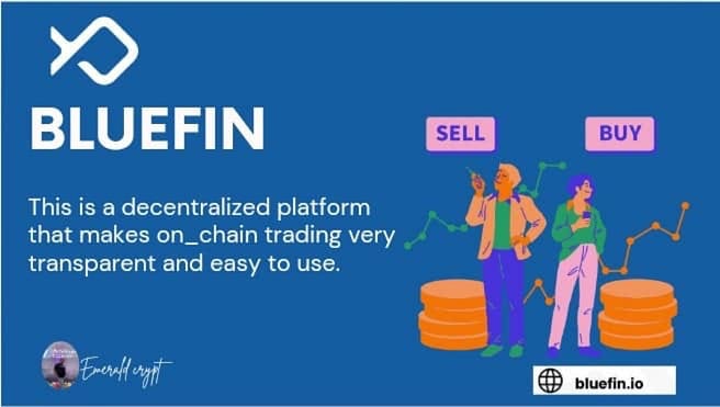 Bluefin: MAKING ON-CHAIN TRADING EASY FOR EVERYONE | by Mbongemediong ...